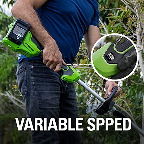 Greenworks 2 x 24V (48V) 15" Cordless String Trimmer, (2) 2.0Ah USB Batteries and Dual Port Rapid Charger Included