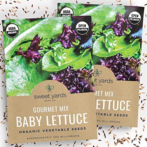 Baby Leaf Lettuce Seeds (Colorful Spring Mix) - 2 Seed Packets! - Over 1000 Open Pollinated Non-GMO USDA Organic Seeds