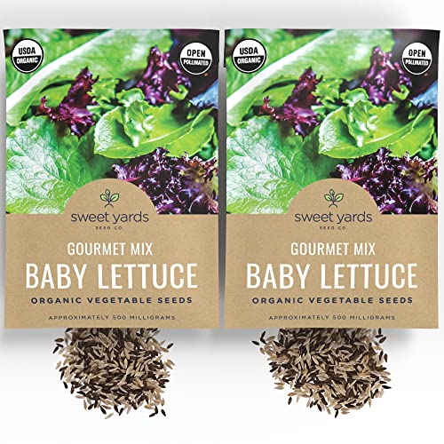 Baby Leaf Lettuce Seeds (Colorful Spring Mix) - 2 Seed Packets! - Over 1000 Open Pollinated Non-GMO USDA Organic Seeds