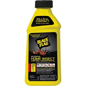 black flag extreme home insect control concentrate, 16 ounce, for indoor and outdoor use, makes 2 gallons