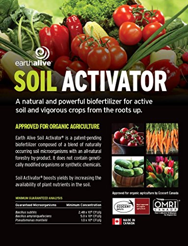 Soil Activator (50g)