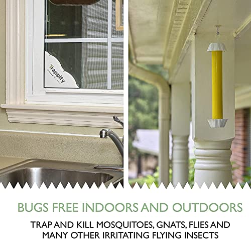 Trappify Sticky Gnat and Fly Traps for Home Pest Control - Fly, Gnats, Moths and Other Flying Insects Killer with Extra Sticky Adhesive Disposable Fly and Moths Catcher - 22 Traps