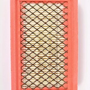 Kohler 14-083-19-S Lawn & Garden Equipment Engine Air Filter Genuine Original Equipment Manufacturer (OEM) Part