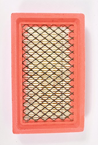 Kohler 14-083-19-S Lawn & Garden Equipment Engine Air Filter Genuine Original Equipment Manufacturer (OEM) Part