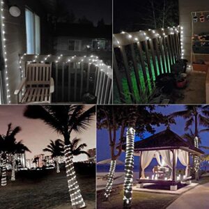 Solar Rope String Lights Outdoor 72Ft 200 Led Waterproof Solar Powered Fairy Lights with 8 Lighting Modes, Copper Wire PVC Tube Lights for Garden Wedding Christmas Party DIY Decor(Pure White, 1 Pack)