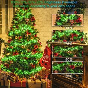 Hezbjiti Christmas Lights Color Changing Indoor String Lights 11 Modes 300LED 99ft LED Fairy Lights with Remote for Xmas Party Tree Yard Porch Garden Wedding Blue to Green