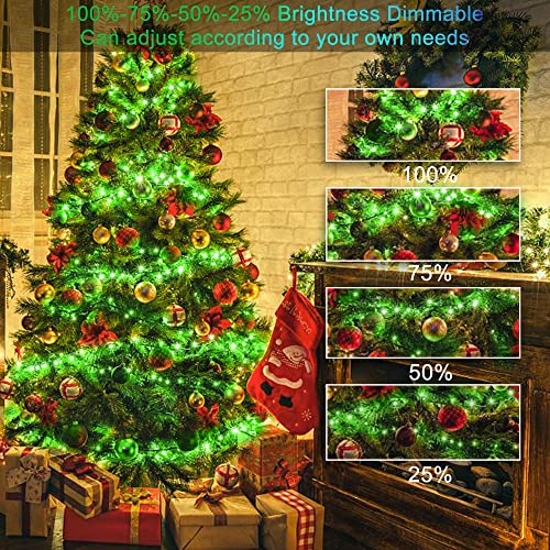 Hezbjiti Christmas Lights Color Changing Indoor String Lights 11 Modes 300LED 99ft LED Fairy Lights with Remote for Xmas Party Tree Yard Porch Garden Wedding Blue to Green