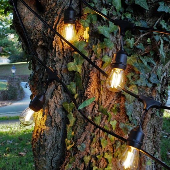 hotNcold Solar String Lights, 15 LED Outdoor Light Bulbs Solar String Light Vintage Waterproof Heavy Duty Solar Lights 44 Ft for Garden Yard Deck Warm White