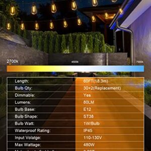 GPATIO Outdoor String Lights, 60FT(50+10) Waterproof Patio Lights with 32 Dimmable Hanging Lights Globe ST38 Bulbs, 2700k Shatterproof for Backyard Gazebo Porch Garden Commerical Outside Decor