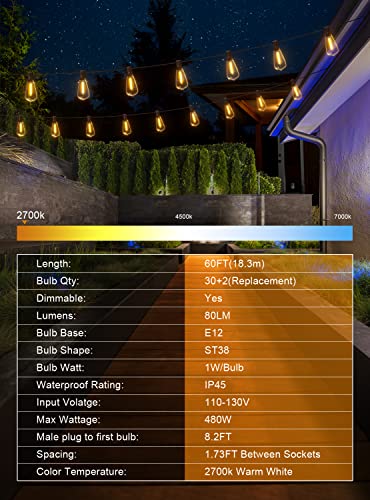 GPATIO Outdoor String Lights, 60FT(50+10) Waterproof Patio Lights with 32 Dimmable Hanging Lights Globe ST38 Bulbs, 2700k Shatterproof for Backyard Gazebo Porch Garden Commerical Outside Decor