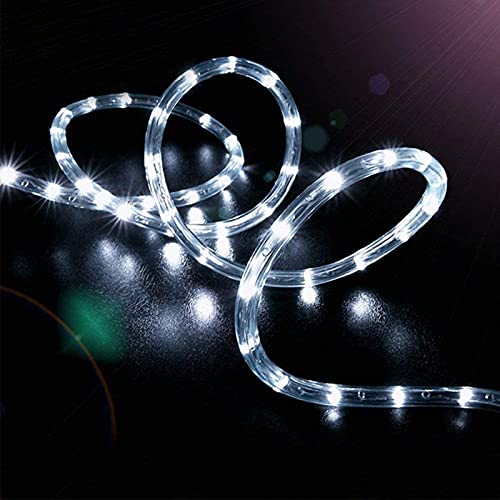 SUNSEATON Solar Rope Lights,100 LEDs 33ft/10M, 8 Modes Waterproof Solar String Copper Wire Light, Outdoor Rope Lights for Garden Yard Path Fence Tree Wedding Party Decorative (33ft/10M, White)