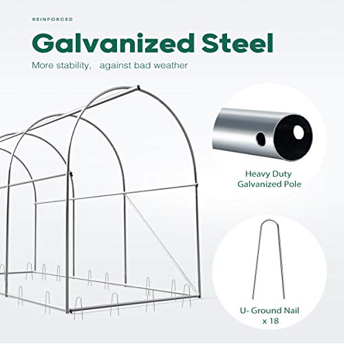 KING BIRD Upgraded 10x6.6x6.6FT Large Walk-in Greenhouse Heavy Duty Galvanized Steel Frame 2 Zippered Screen Doors 6 Screen Windows Tunnel Garden Plant Hot Green House 18 Stakes 4 Ropes 2 Gloves White