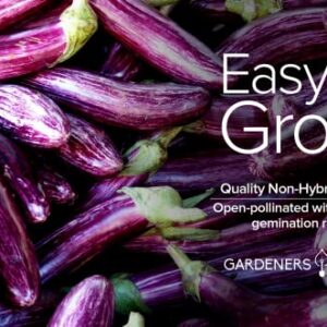 Eggplant Seeds for Planting - (Long Purple) is A Great Heirloom, Non-GMO Vegetable Variety- 500 mg Seeds Great for Outdoor Spring, Winter and Fall Gardening by Gardeners Basics