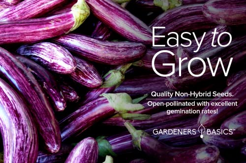 Eggplant Seeds for Planting - (Long Purple) is A Great Heirloom, Non-GMO Vegetable Variety- 500 mg Seeds Great for Outdoor Spring, Winter and Fall Gardening by Gardeners Basics