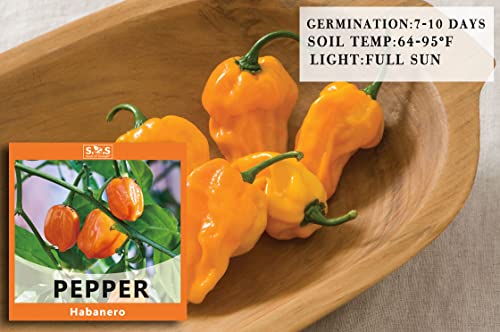 Hot Pepper Seeds for Planting - Pepper,Habanero Seeds, Red, Yellow Pepper Habanero Seeds for Planting in Garden Non GMO, Heirloom Peppers Seeds (Pepper,Habanero)