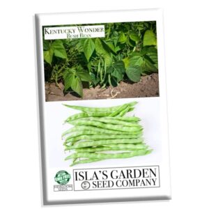 kentucky wonder bush bean seeds for planting, 30+ heirloom seeds per packet, (isla’s garden seeds), non gmo seeds, botanical name: phaseolus vulgaris