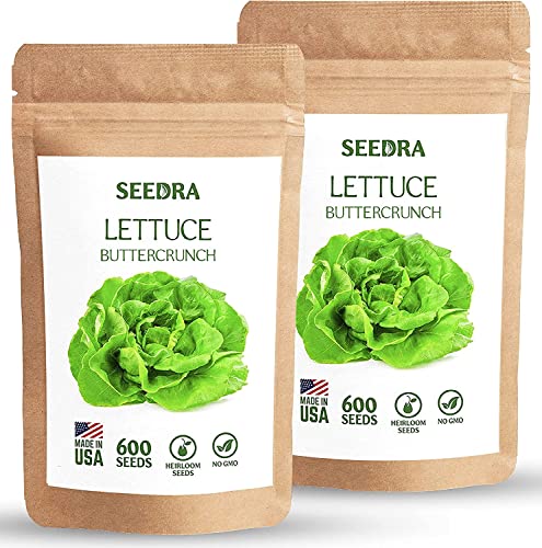 Seedra.US Lettuce Seeds for Indoor and Outdoor Planting - Home Garden - 1200 Seeds - GMO-Free and Heirloom Seeds - 2 Pack