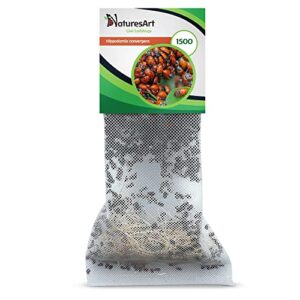 1500 live ladybugs – good bugs for garden – ladybug for greenhouse – guaranteed live