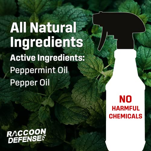 Exterminator’s Choice - Raccoon Defense Spray - 32 OZ - Natural, Non-Toxic Raccoon Repellent - Quick and Easy Pest Control - Safe Around Kids and Pets