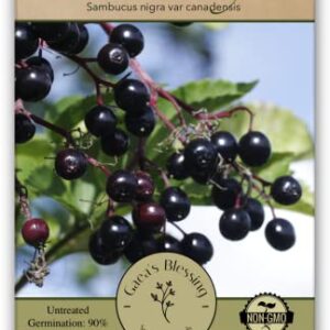 Gaea's Blessing Seeds - Elderberry Seeds - American Black Elderberry Heirloom - Non-GMO Seeds with Easy to Follow Planting Instructions - 90% Germination Rate