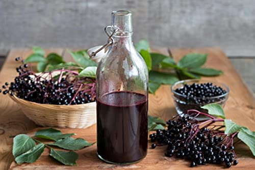 Gaea's Blessing Seeds - Elderberry Seeds - American Black Elderberry Heirloom - Non-GMO Seeds with Easy to Follow Planting Instructions - 90% Germination Rate