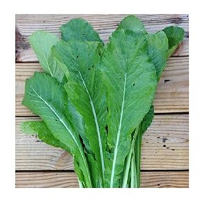 david’s garden seeds mustard greens tendergreen fba-7445 (green) 200 non-gmo, heirloom seeds