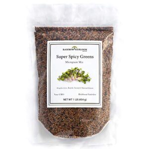 super spicy greens microgreen seed mix | seeds for planting | contains garden cress seeds, radish, mustard, turnip & arugula microgreen seeds | non gmo heirloom seeds | 1 lb | rainbow heirloom seed co