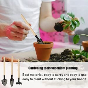 7Pcs Mini Garden Tools Set Soil Scoop Planting Scoop Mini Shovel Plant Tools Bonsai Soil Scoops Garden Shovels Gardening Kit for Seedling Soil for Planting Micro Landscape