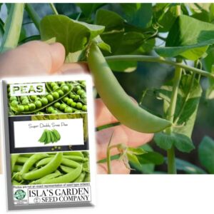 sugar daddy snap pea seeds for planting, 50+ heirloom seeds per packet, (isla’s garden seeds), non gmo seeds, botanical name: pisum sativum, great home garden gift