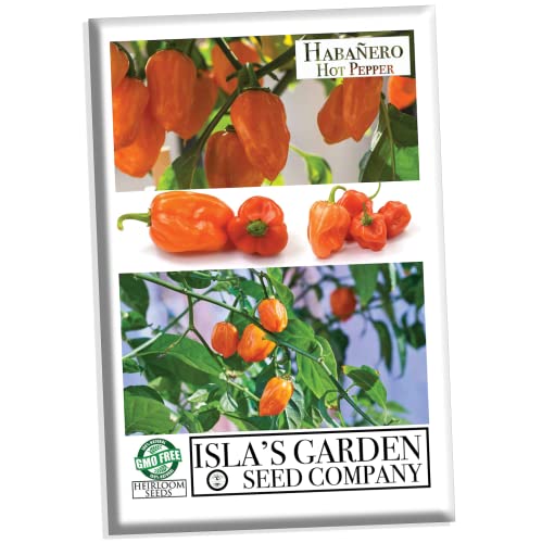 Habañero Seeds for Planting, 25+ Heirloom Seeds Per Packet, Spicy & Hot Pepper, (Isla's Garden Seeds), Non GMO Seeds, Botanical Name: Capsicum chinense, Great Home Garden Gift