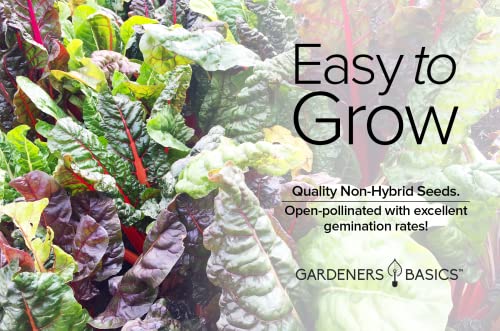 Swiss Chard Seeds for Planting (Rainbow) Non-GMO Vegetable Variety- 5 Grams Seeds Great for Summer, Fall and Winter Gardens by Gardeners Basics