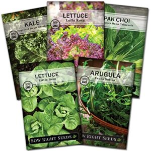 sow right seeds – hydroponic vegetable seeds for planting – lettuce, kale, arugula, and pak choi seeds for planting and growing a hydroponic greens – garden indoors – perfect for your growing system