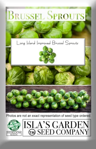 Long Island Improved Brussels Sprout Seeds for Planting, 200+ Heirloom Seeds Per Packet, (Isla's Garden Seeds), Non GMO Seeds, Botanical Name: Brassica oleracea, Isla's Garden Seeds