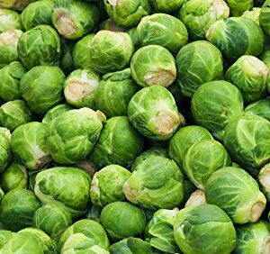 Long Island Improved Brussels Sprout Seeds for Planting, 200+ Heirloom Seeds Per Packet, (Isla's Garden Seeds), Non GMO Seeds, Botanical Name: Brassica oleracea, Isla's Garden Seeds