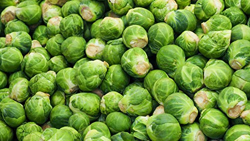 Long Island Improved Brussels Sprout Seeds for Planting, 200+ Heirloom Seeds Per Packet, (Isla's Garden Seeds), Non GMO Seeds, Botanical Name: Brassica oleracea, Isla's Garden Seeds