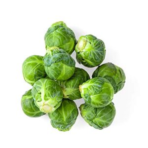 Long Island Improved Brussels Sprout Seeds for Planting, 200+ Heirloom Seeds Per Packet, (Isla's Garden Seeds), Non GMO Seeds, Botanical Name: Brassica oleracea, Isla's Garden Seeds