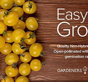 Yellow Pear Tomato Seeds for Planting Heirloom Non-GMO Seeds for Home Garden Vegetables Makes a Great Gift for Gardening by Gardeners Basics