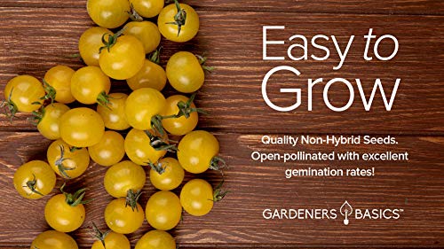 Yellow Pear Tomato Seeds for Planting Heirloom Non-GMO Seeds for Home Garden Vegetables Makes a Great Gift for Gardening by Gardeners Basics