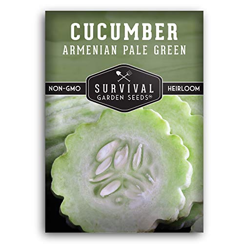 Survival Garden Seeds - Armenian Pale Green Cucumber Seed for Planting - Packet with Instructions to Plant and Grow Long Burpless Cucumbers in Your Home Vegetable Garden - Non-GMO Heirloom Variety