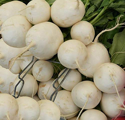 White Albina Beet Seeds for Growing Heirloom Detroit Albino bin14 (120 Seeds)