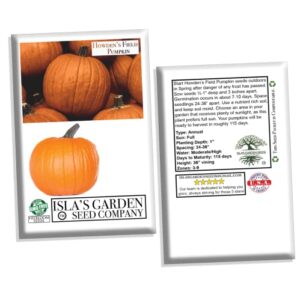 Howden's Field Pumpkin Seeds for Planting, 20+ Heirloom Seeds Per Packet, (Isla's Garden Seeds), Non GMO Seeds, Botanical Name: Cucurbita Pepo, Great Home Garden Gift