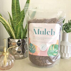 Urban Thumb & Co Ultra Fine Garden Plant Mulch - Top Cover for Indoor / Outdoor Potted House Plants - Compact Size, Potting Mix for Urban Plant Lovers- 3.25 Quarts