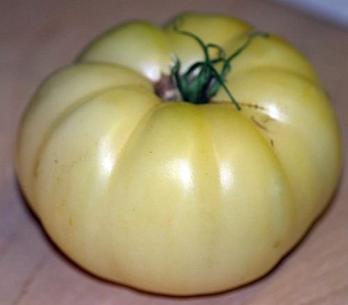 White Wonder Beefsteak Tomato Unique Heirloom! #221 (85 Seeds, or 1/4 Gram)