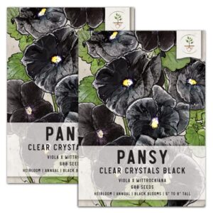 seed needs, clear crystals black pansy seeds for planting (viola x wittrockiana) twin pack of 600 seeds each – heirloom & open pollinated