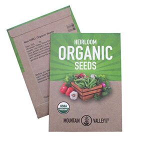 Organic Detroit Dark Red Beet Garden Seeds - 3 g Packet ~125 Seeds - Non-GMO, Heirloom Seed for Growing Microgreens, Vegetable Gardening