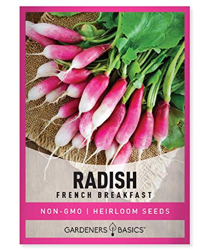 Radish Seeds for Planting - French Breakfast Variety Heirloom, Non-GMO Vegetable Seed - 2 Grams of Seeds Great for Outdoor Spring, Winter and Fall Gardening by Gardeners Basics