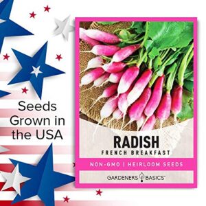 Radish Seeds for Planting - French Breakfast Variety Heirloom, Non-GMO Vegetable Seed - 2 Grams of Seeds Great for Outdoor Spring, Winter and Fall Gardening by Gardeners Basics