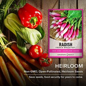 Radish Seeds for Planting - French Breakfast Variety Heirloom, Non-GMO Vegetable Seed - 2 Grams of Seeds Great for Outdoor Spring, Winter and Fall Gardening by Gardeners Basics