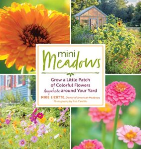 mini meadows: grow a little patch of colorful flowers anywhere around your yard