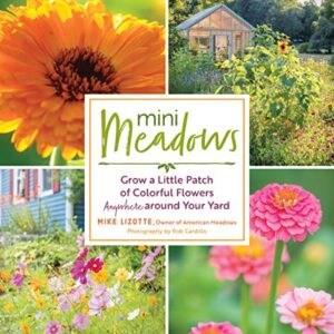 Mini Meadows: Grow a Little Patch of Colorful Flowers Anywhere around Your Yard